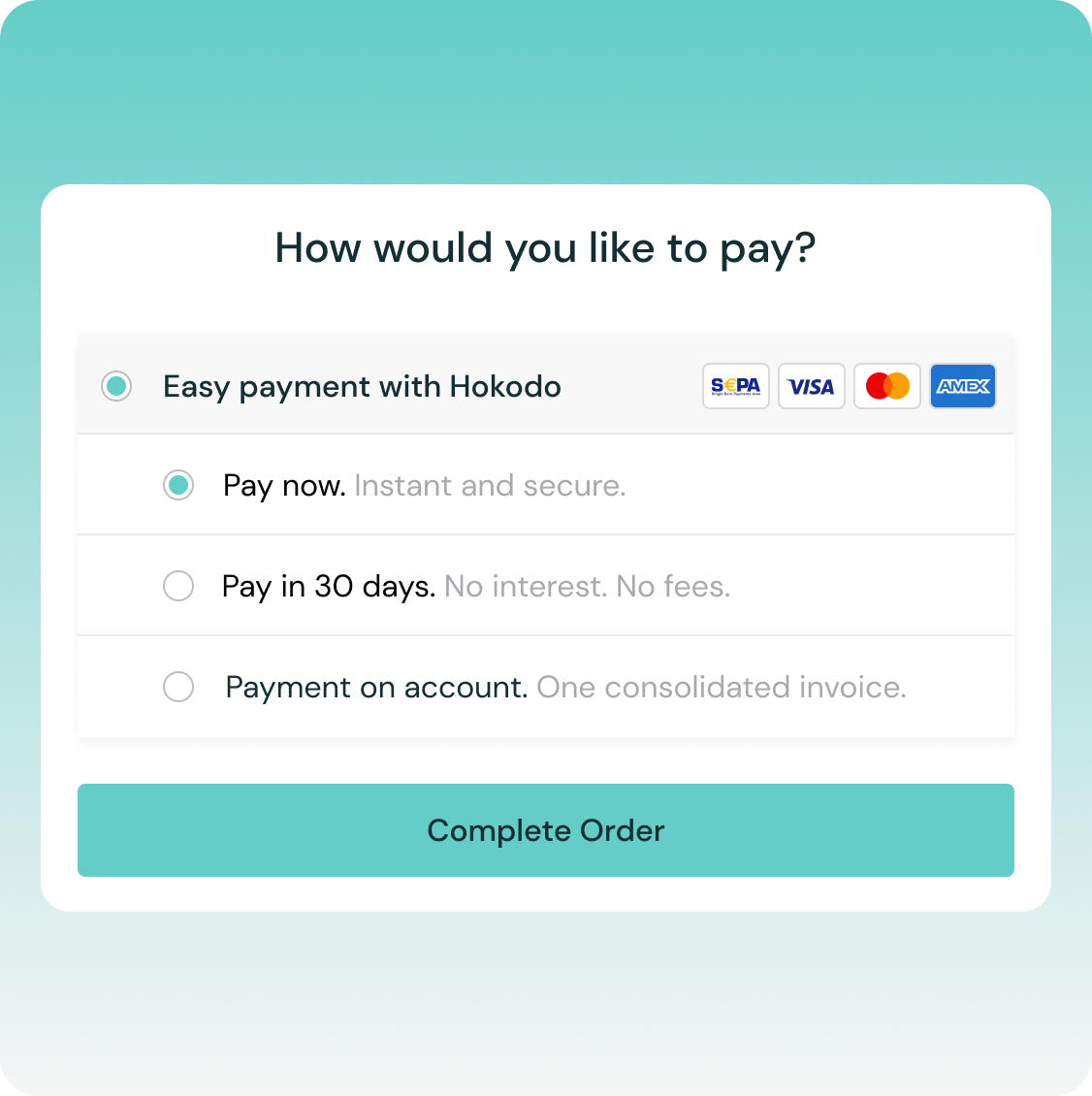 Pay Now And Pay Later | Serve All B2B Buyers With Hokodo